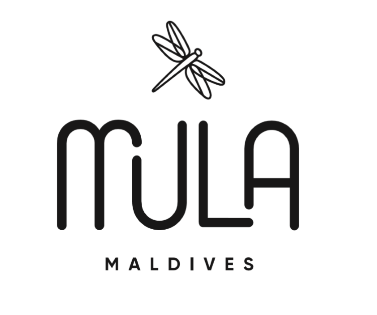 Kings on the wing – a tribute to dragonflies – Mula Maldives